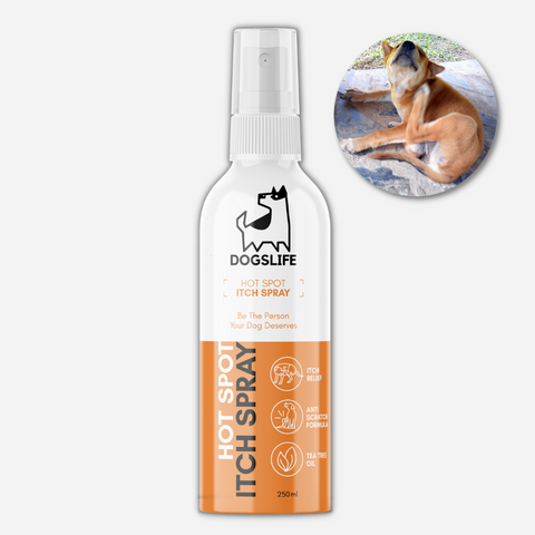 Itch Relief Spray For Dogs Buy Online OurPetsLife