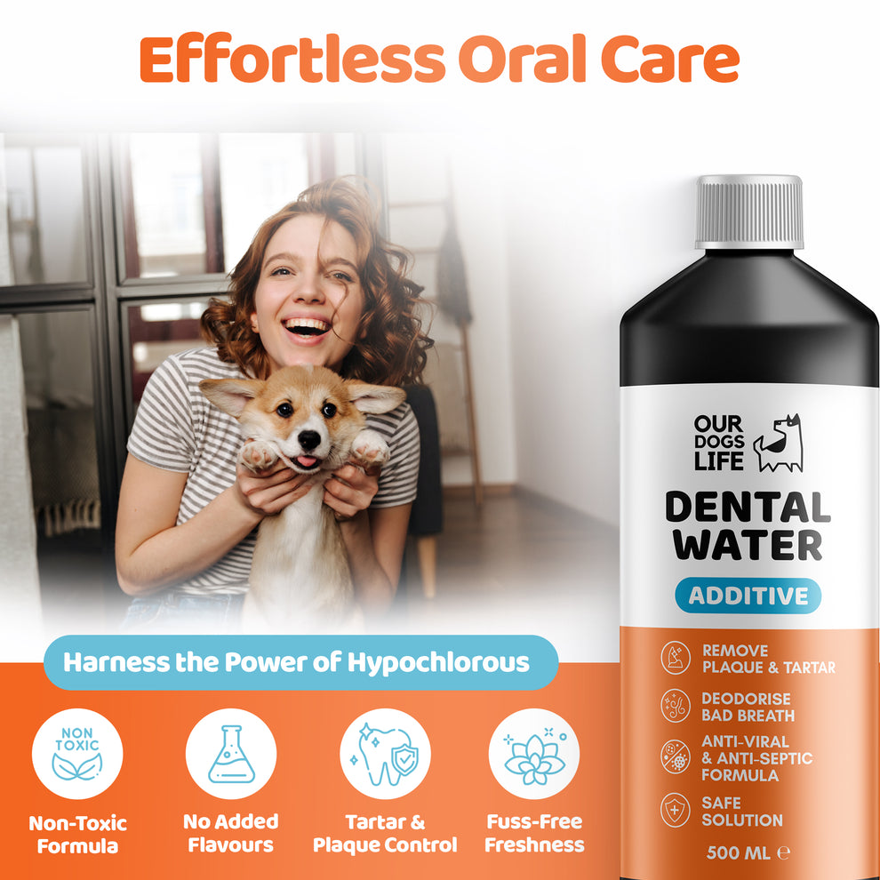 Dog Dental Formula | Dental Water Additive for Dogs – OurPetsLife