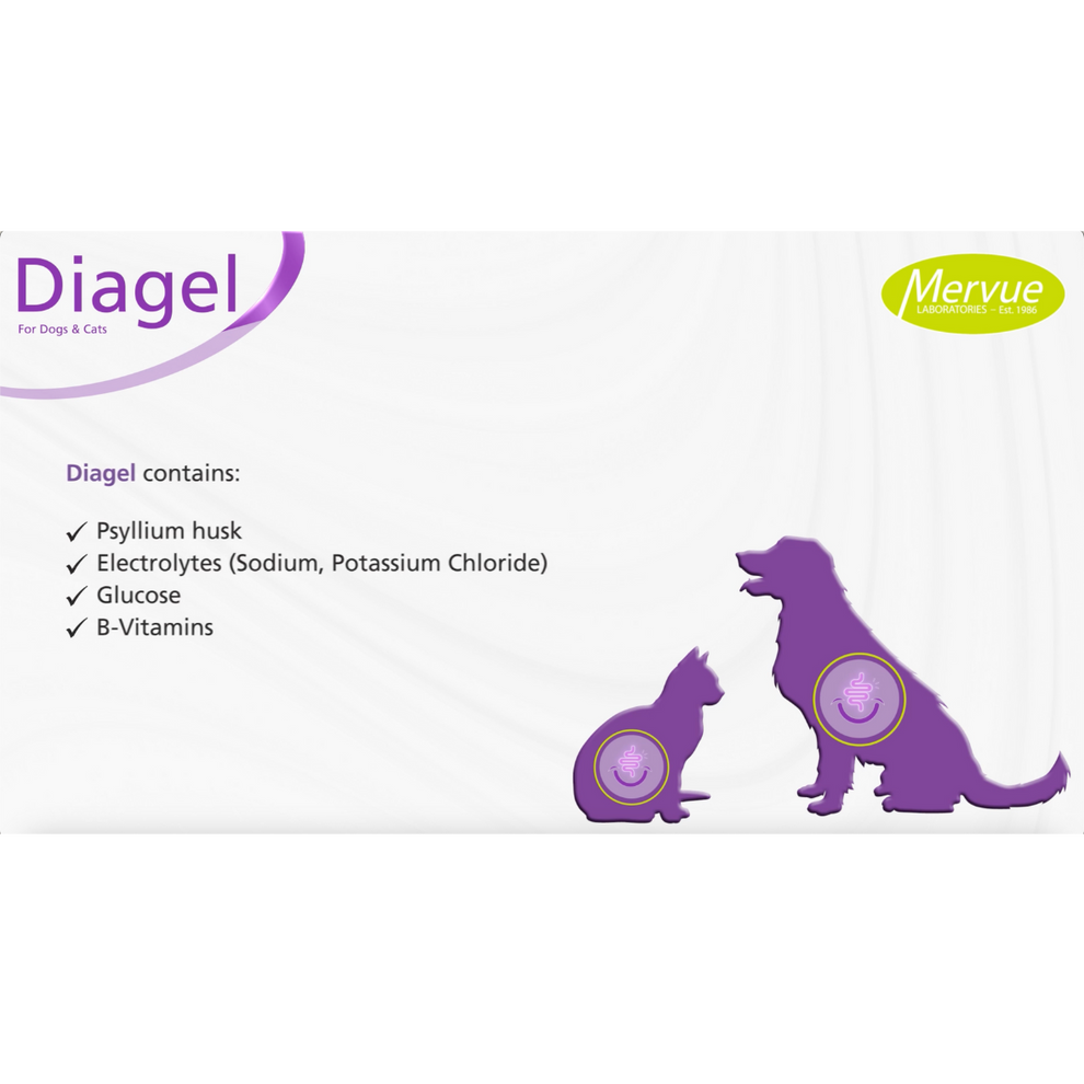 Diagel Digestive Support for Dogs and Cats | Buy Now – OurPetsLife