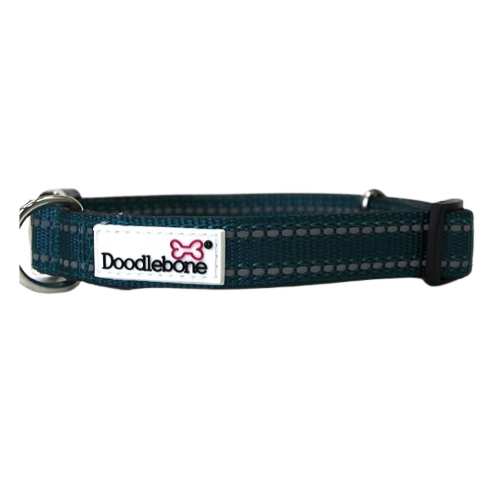 Doodlebone Padded Collar, Teal | Buy Now – OurPetsLife